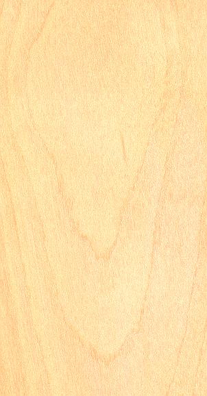 Abedul- Conoce sus propiedades y usos - Maderas Viera