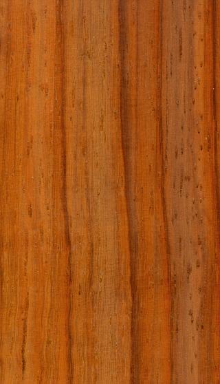 Palo Rojo- Conoce sus propiedades y usos - Maderas Viera