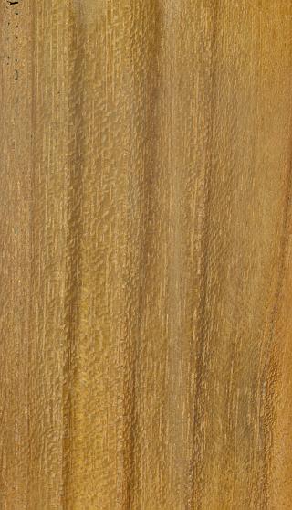 Teca- Conoce sus propiedades y usos - Maderas Viera